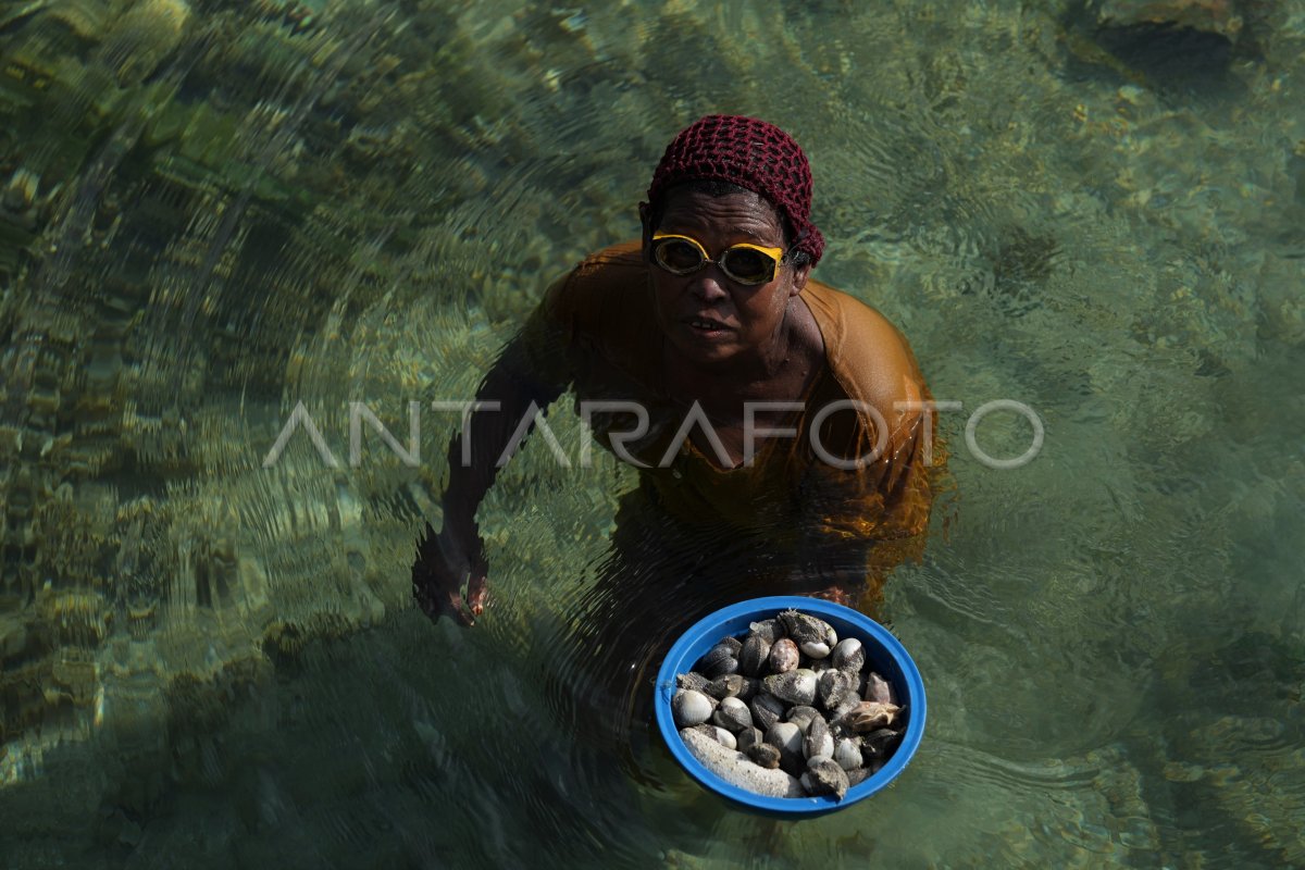MENCARI KERANG LAUT SAAT AIR SURUT | ANTARA Foto MENCARI KERANG LAUT SAAT AIR SURUT | ANTARA Foto