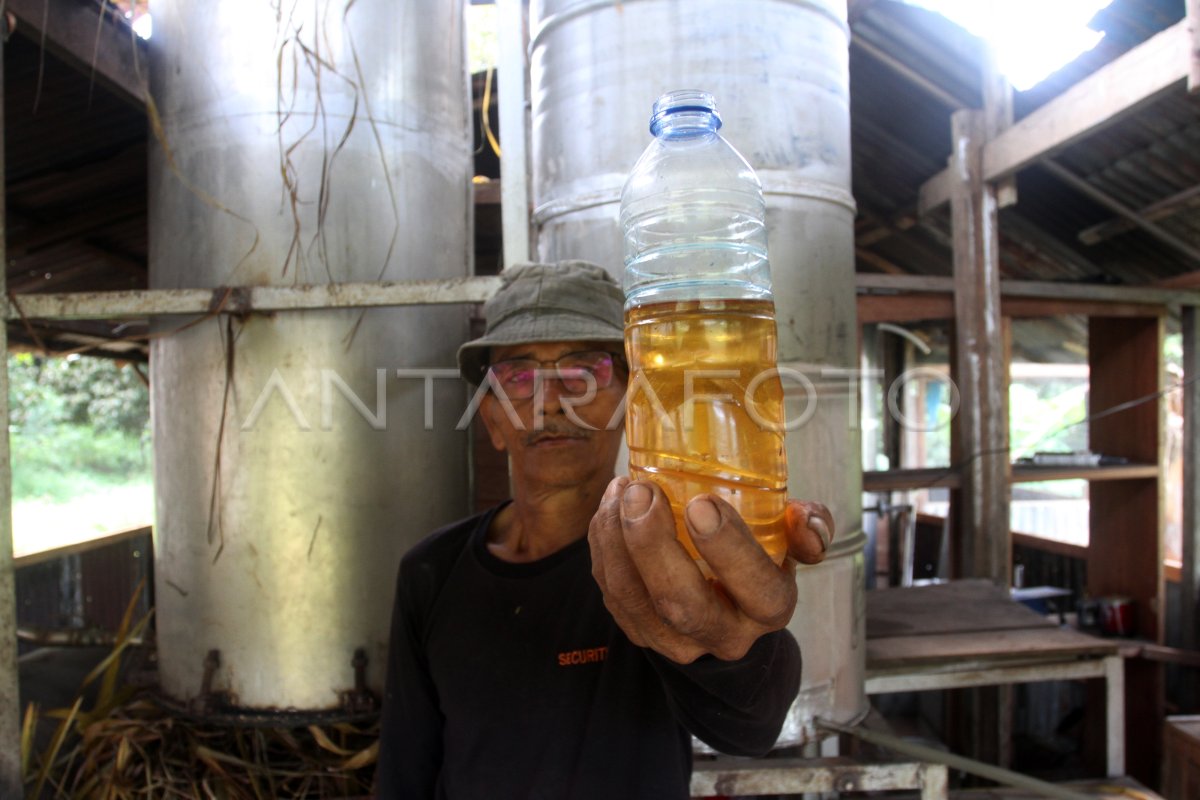 PRODUKSI MINYAK SERAI WANGI | ANTARA Foto PRODUKSI MINYAK SERAI WANGI | ANTARA Foto