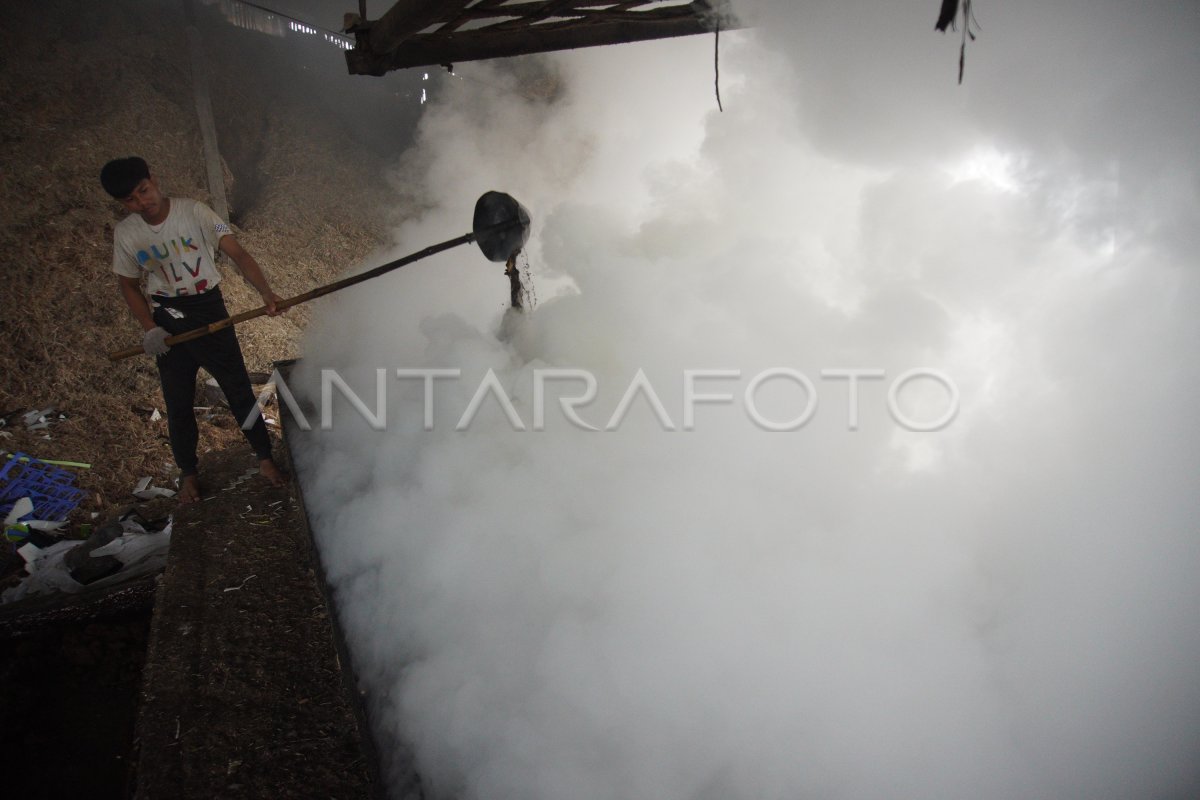 PRODUKSI GULA MERAH TEBU MENURUN | ANTARA Foto PRODUKSI GULA MERAH TEBU MENURUN | ANTARA Foto