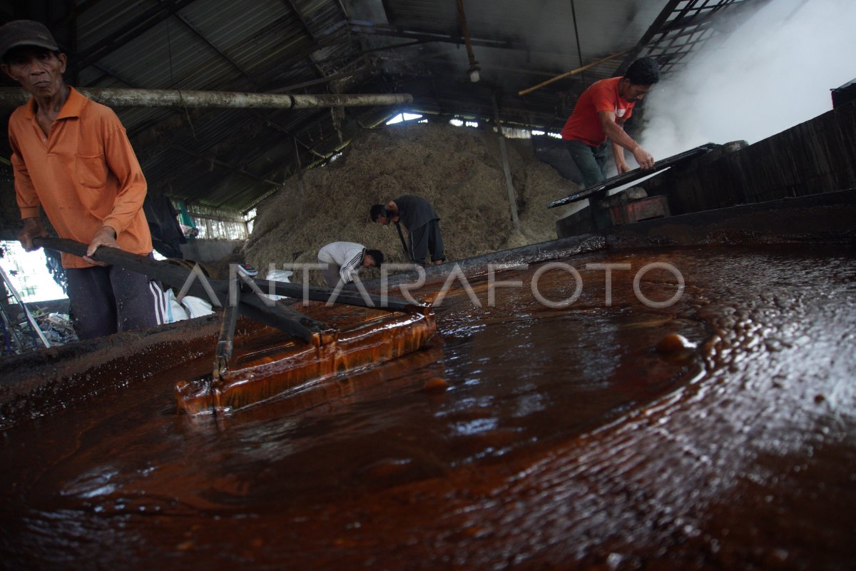 PRODUKSI GULA MERAH TEBU MENURUN | ANTARA Foto PRODUKSI GULA MERAH TEBU MENURUN | ANTARA Foto