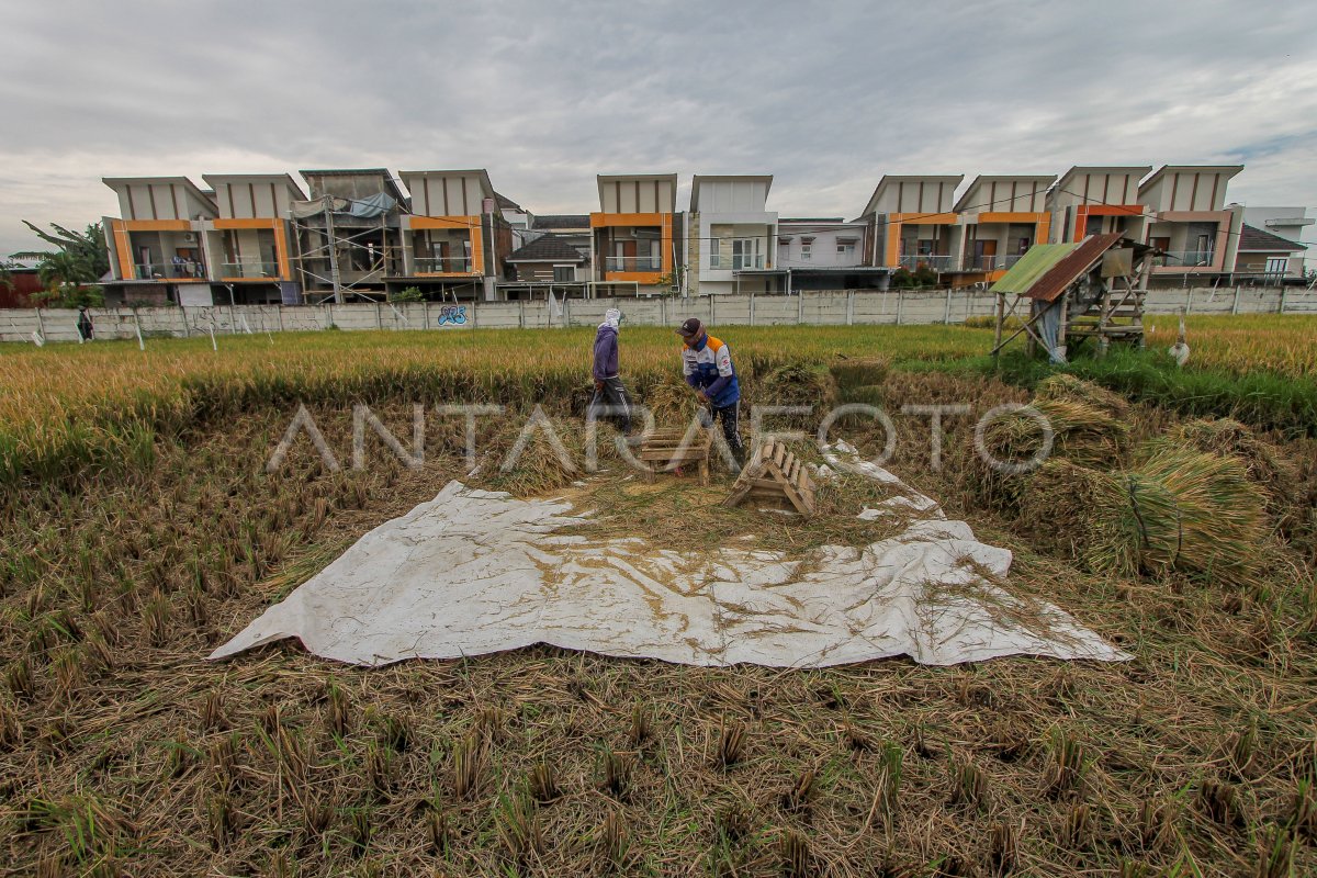 REVISI PENETAPAN LAHAN SAWAH DILINDUNGI | ANTARA Foto REVISI PENETAPAN LAHAN SAWAH DILINDUNGI | ANTARA Foto