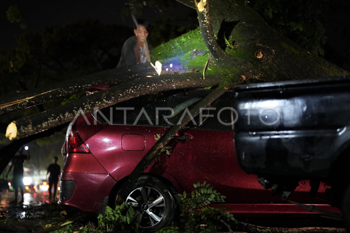 POHON TUMBANG MENIMPA KENDARAAN | ANTARA Foto POHON TUMBANG MENIMPA KENDARAAN | ANTARA Foto