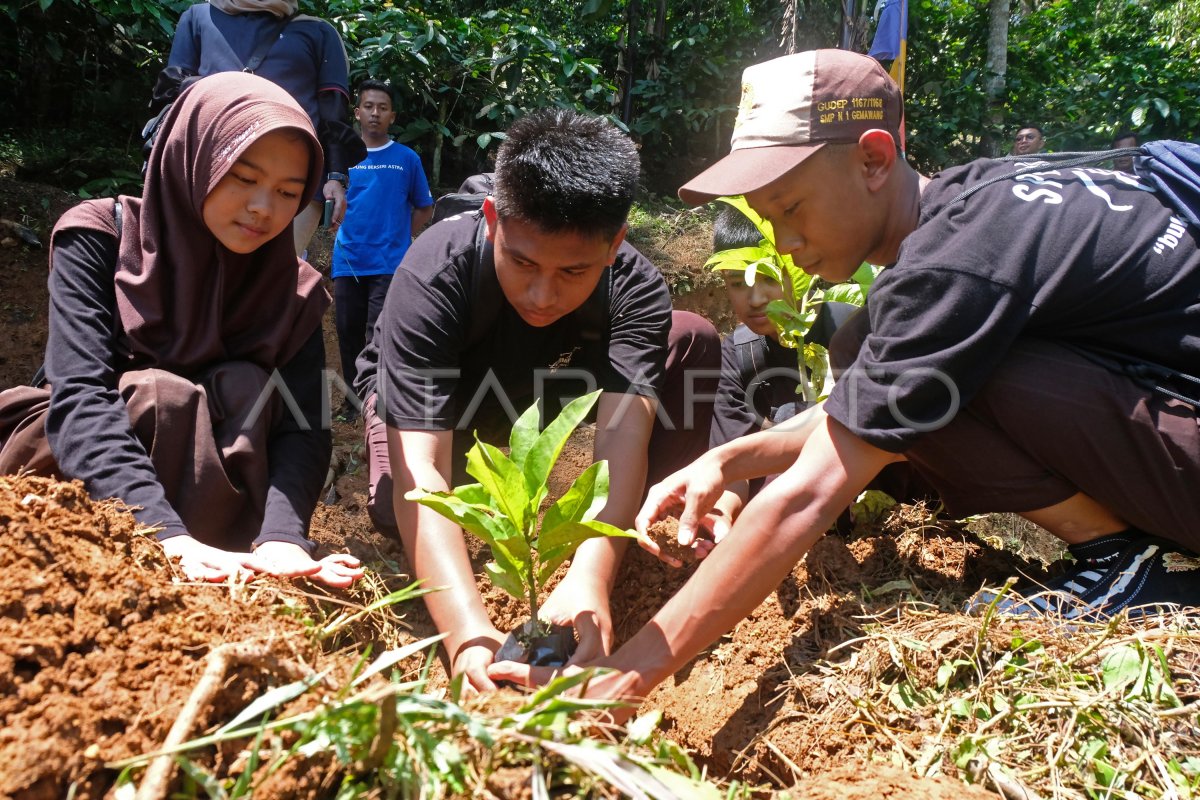 AKSI MENANAM 20.000 POHON | ANTARA Foto