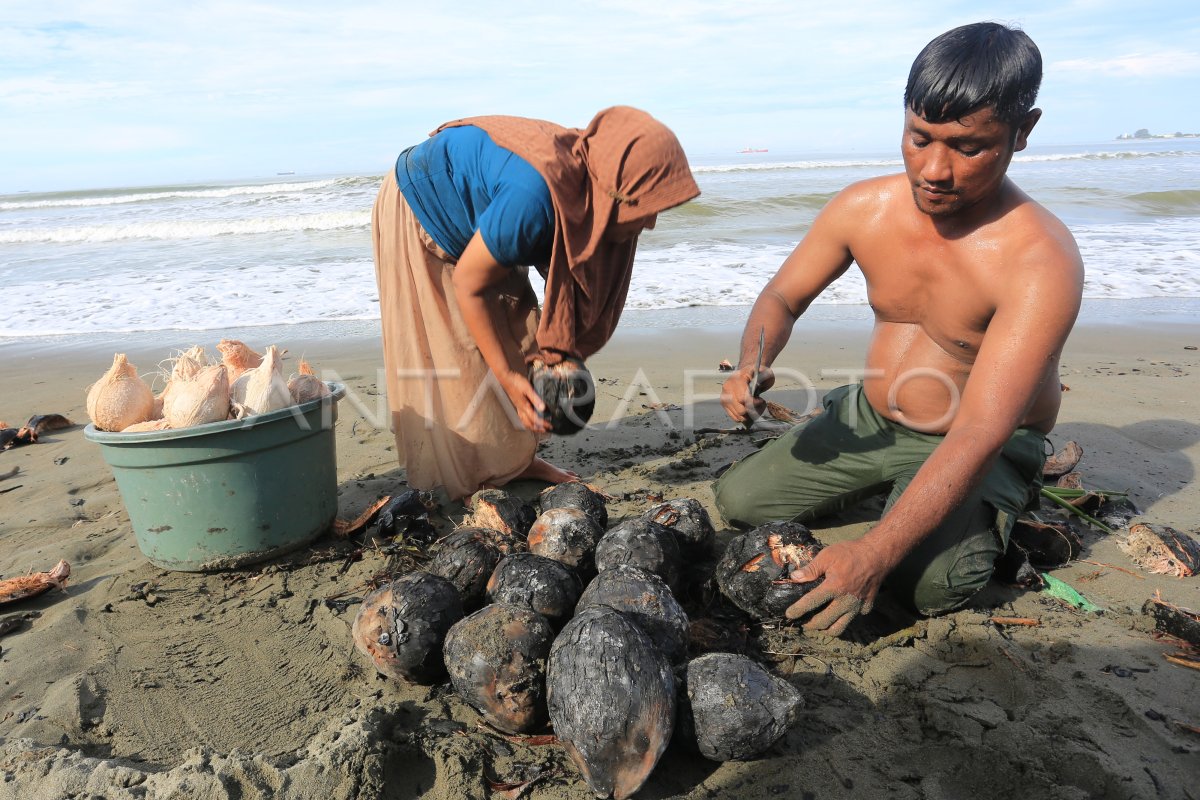 KELAPA BAKAR KHAS RAMADHAN DI ACEH BARAT | ANTARA Foto KELAPA BAKAR KHAS RAMADHAN DI ACEH BARAT | ANTARA Foto