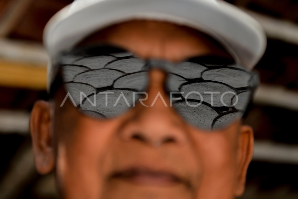 Produksi Tepung Tapioka Menurun Antara Foto