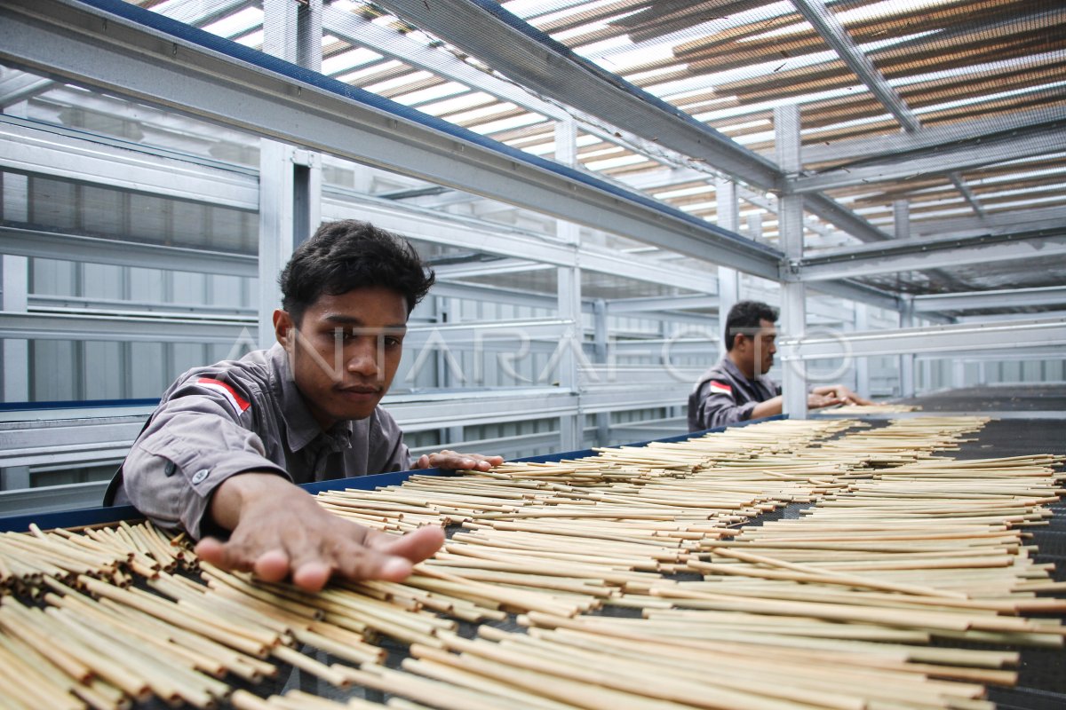 Produksi sedotan ramah lingkungan | ANTARA Foto Produksi sedotan ramah lingkungan | ANTARA Foto
