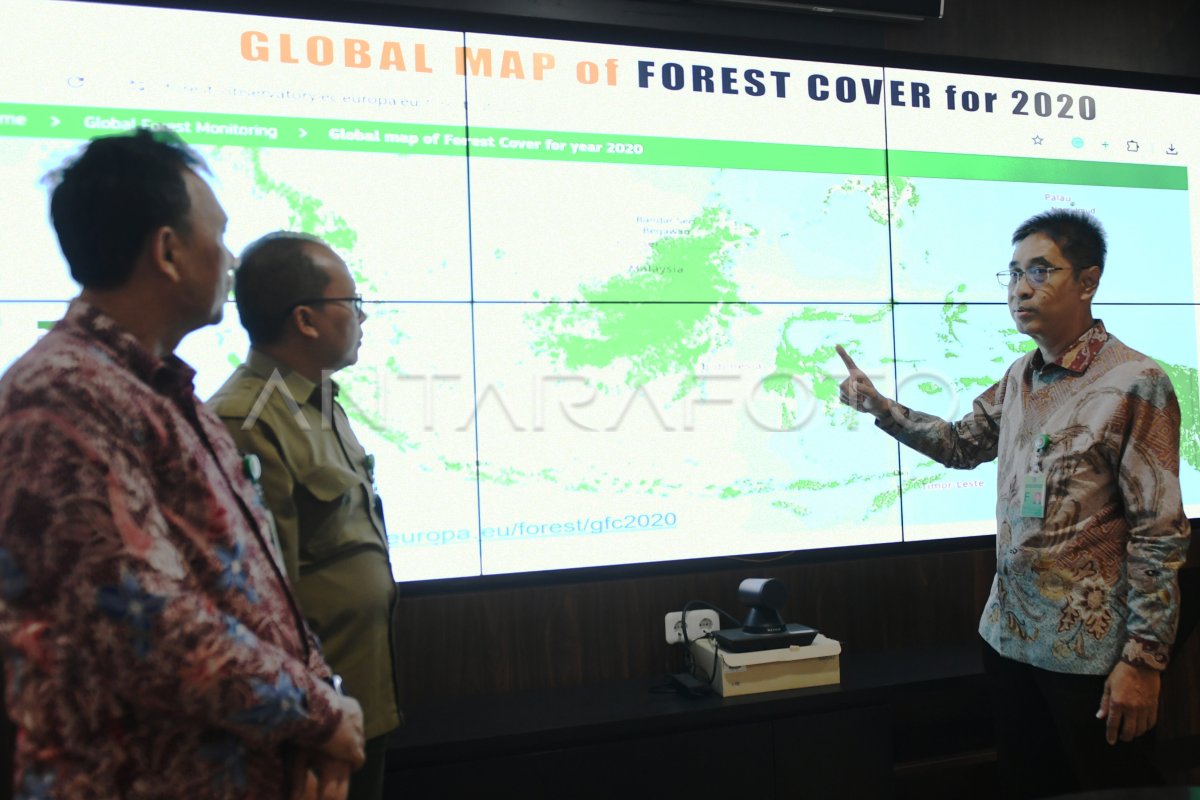 Kesiapan Indonesia Hadapi Regulasi Deforestasi Uni Eropa | ANTARA Foto Kesiapan Indonesia Hadapi Regulasi Deforestasi Uni Eropa | ANTARA Foto
