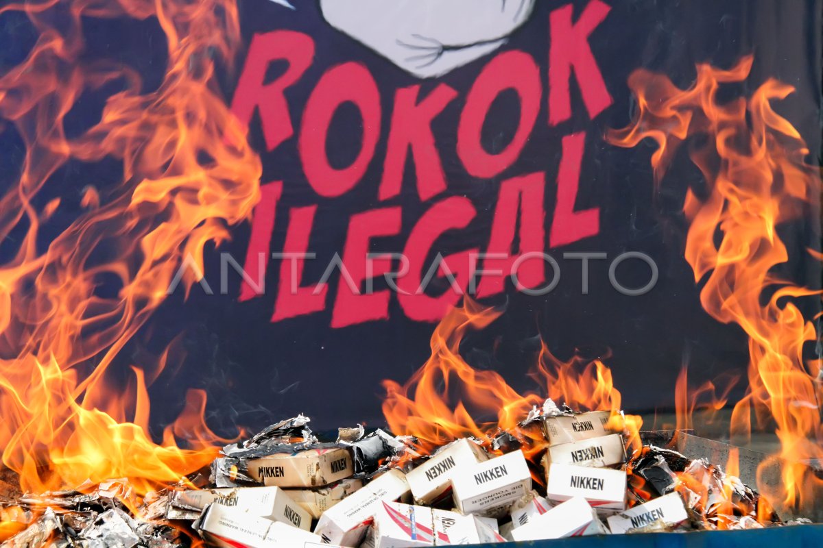 Pemusnahan Rokok Ilegal Tangkapan Bea Cukai | ANTARA Foto