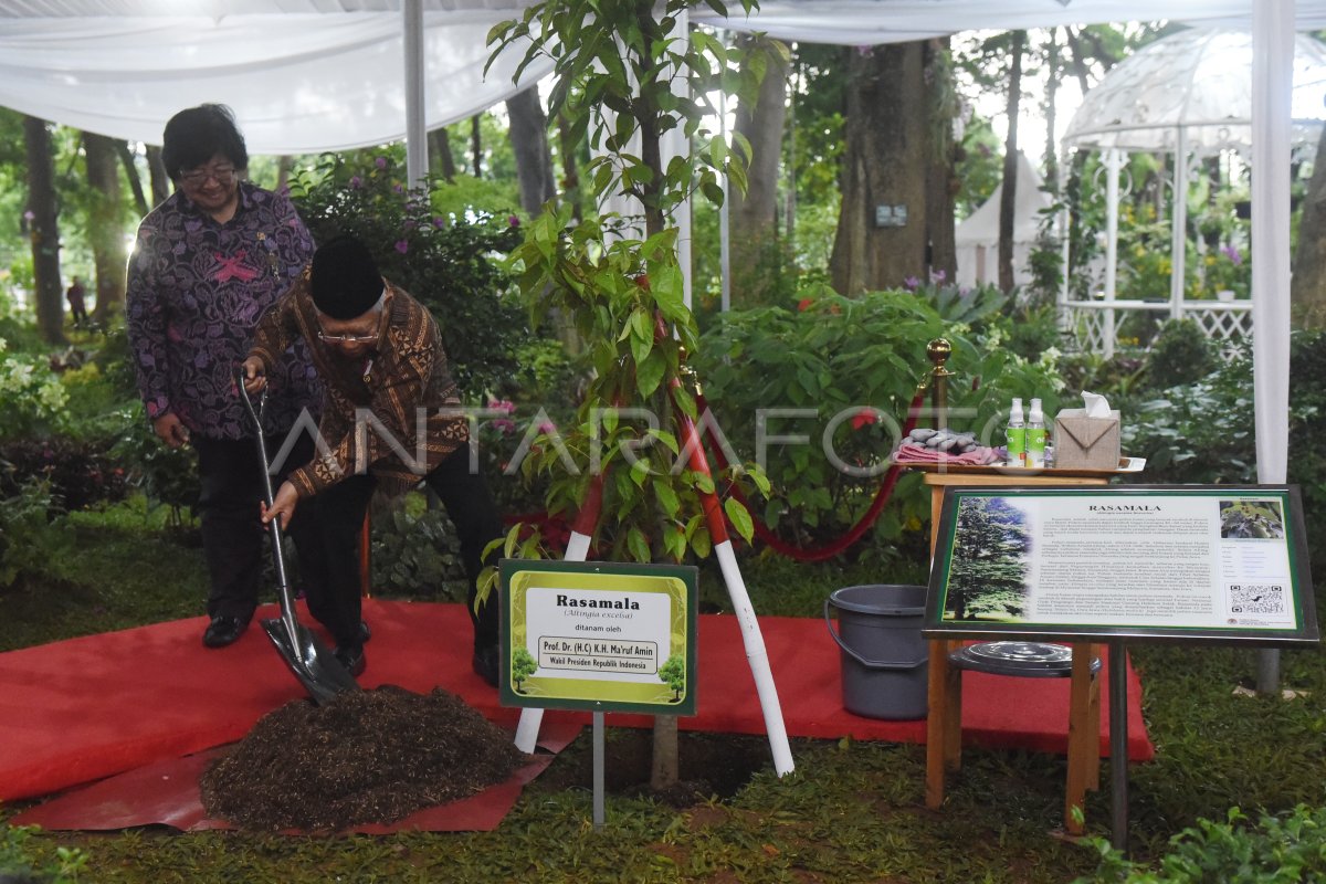 Wapres hadiri peringatan Hari Lingkungan Hidup Sedunia 2024 | ANTARA Foto Wapres hadiri peringatan Hari Lingkungan Hidup Sedunia 2024 | ANTARA Foto