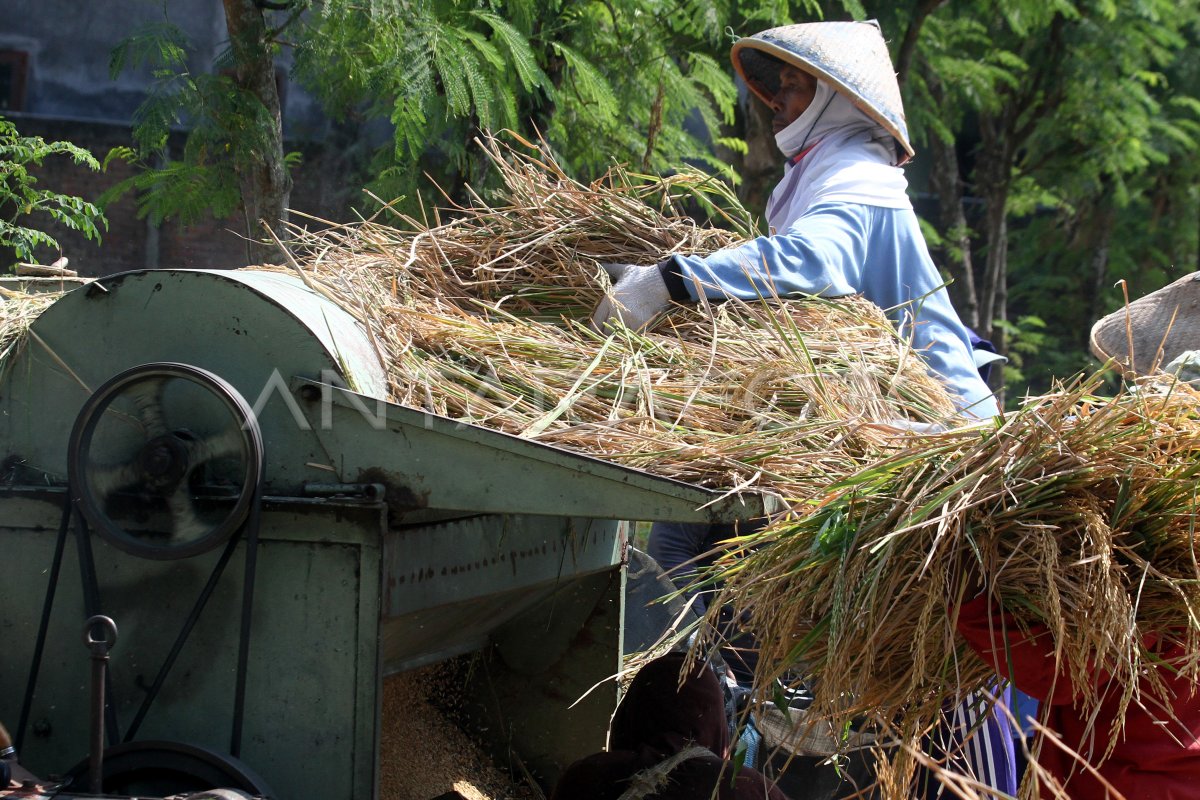 Proyeksi produksi beras Agustus-September 2024 | ANTARA Foto Proyeksi produksi beras Agustus-September 2024 | ANTARA Foto