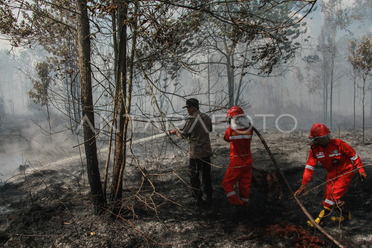 Luas hutan dan lahan terbakar di Kalimantan Tengah | ANTARA Foto Luas hutan dan lahan terbakar di Kalimantan Tengah | ANTARA Foto