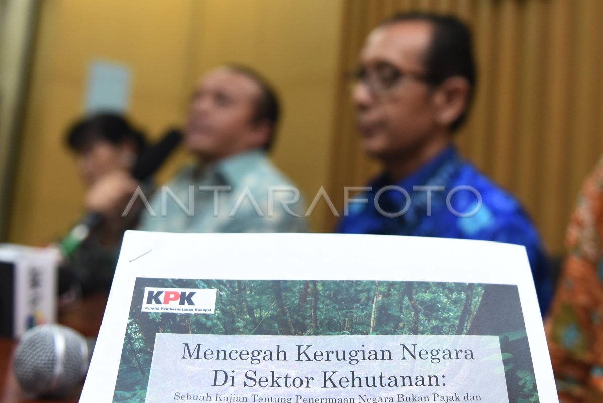 KEHILANGAN PNBP SEKTOR KEHUTANAN | ANTARA Foto KEHILANGAN PNBP SEKTOR KEHUTANAN | ANTARA Foto