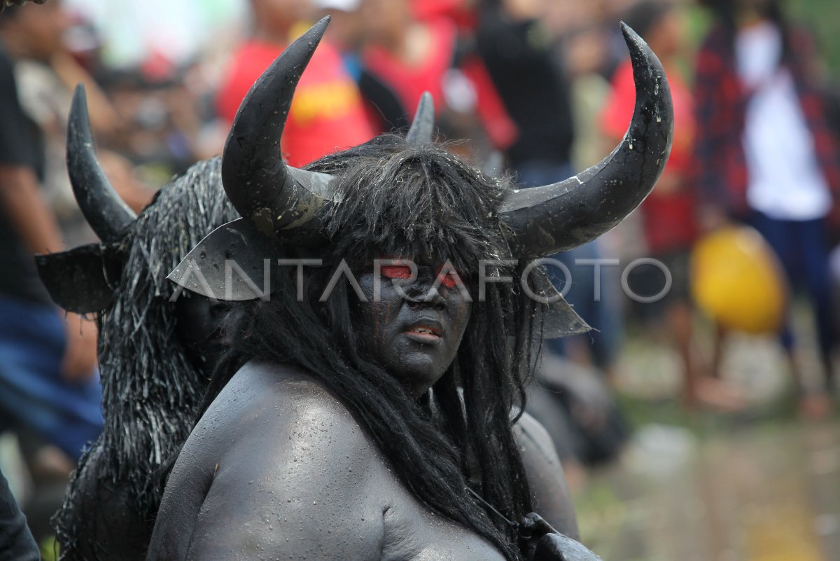 KEBO KEBOAN ALAS MALANG | ANTARA Foto