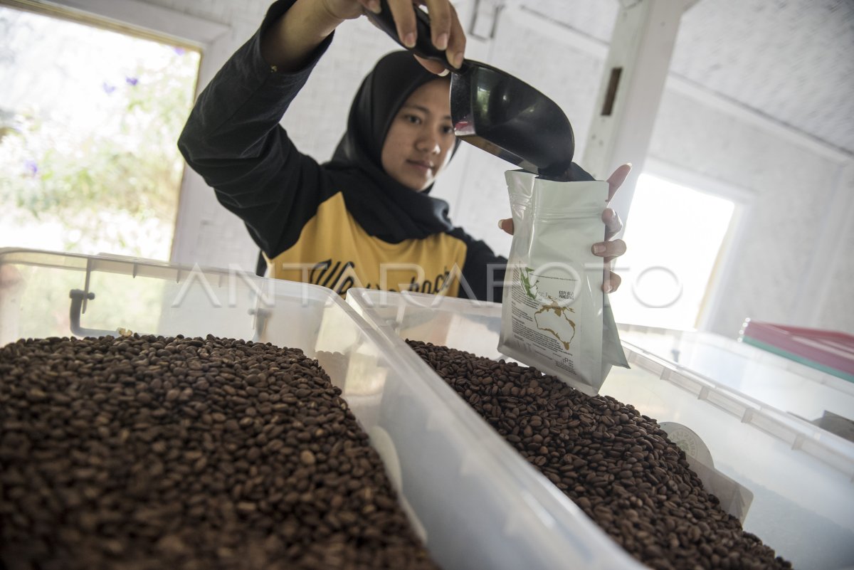 TARGET PRODUKSI KOPI INDONESIA | ANTARA Foto