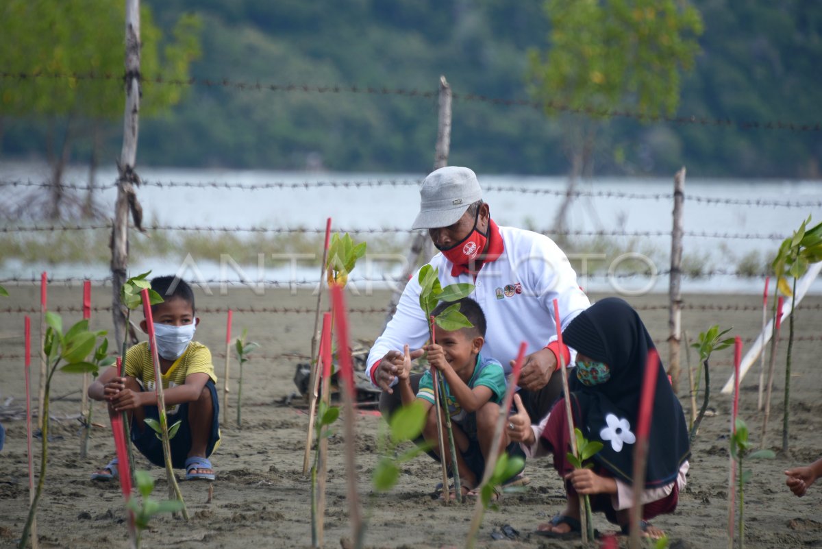 TARGET REHABILITASI LAHAN MANGROVE | ANTARA Foto