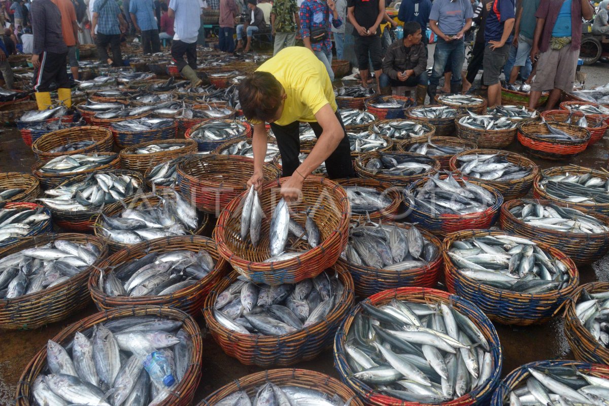 PEMERINTAH GENCARKAN KAMPANYE KONSUMSI IKAN CEGAH STUNTING | ANTARA Foto PEMERINTAH GENCARKAN KAMPANYE KONSUMSI IKAN CEGAH STUNTING | ANTARA Foto