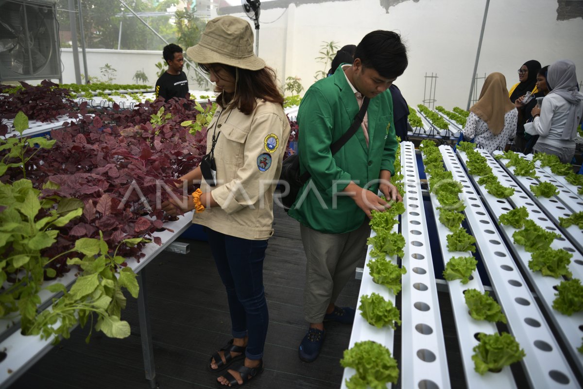 PROGRAM PERTUKARAN MAHASISWA MERDEKA | ANTARA Foto PROGRAM PERTUKARAN MAHASISWA MERDEKA | ANTARA Foto