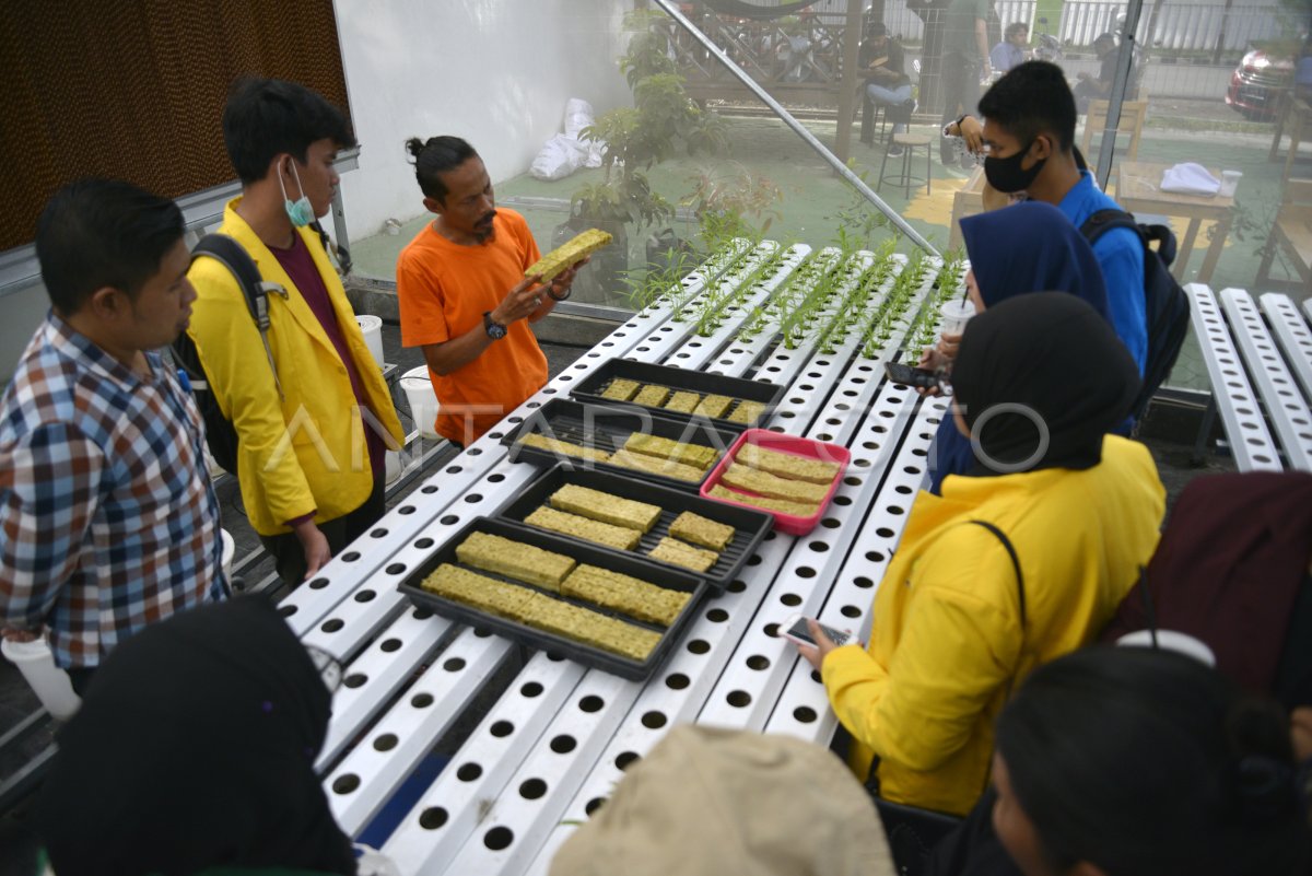 PROGRAM PERTUKARAN MAHASISWA MERDEKA | ANTARA Foto PROGRAM PERTUKARAN MAHASISWA MERDEKA | ANTARA Foto