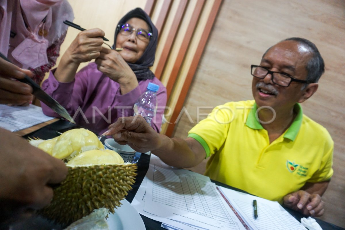 KONTES DURIAN UNGGUL | ANTARA Foto KONTES DURIAN UNGGUL | ANTARA Foto
