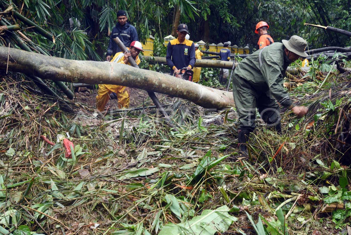 JALUR WISATA SERANG-ANYER TERTUTUP LONGSOR | ANTARA Foto JALUR WISATA SERANG-ANYER TERTUTUP LONGSOR | ANTARA Foto