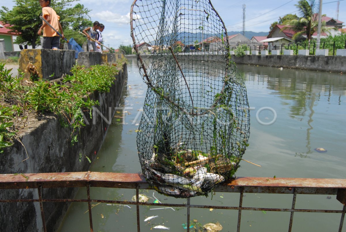 IKAN MATI MENDADAK | ANTARA Foto IKAN MATI MENDADAK | ANTARA Foto