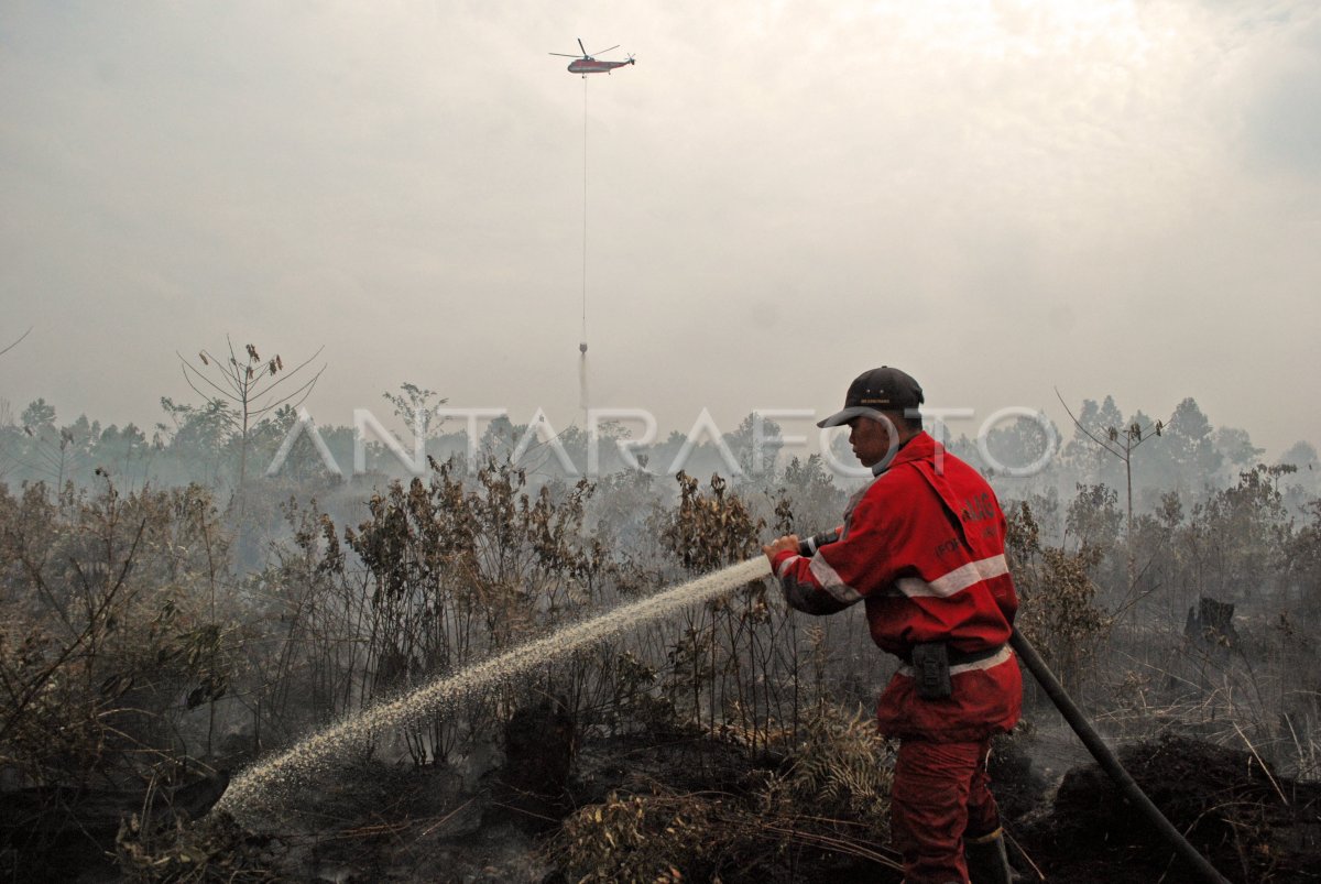 PEMADAMAN KEBAKARAN HUTAN RIAU | ANTARA Foto