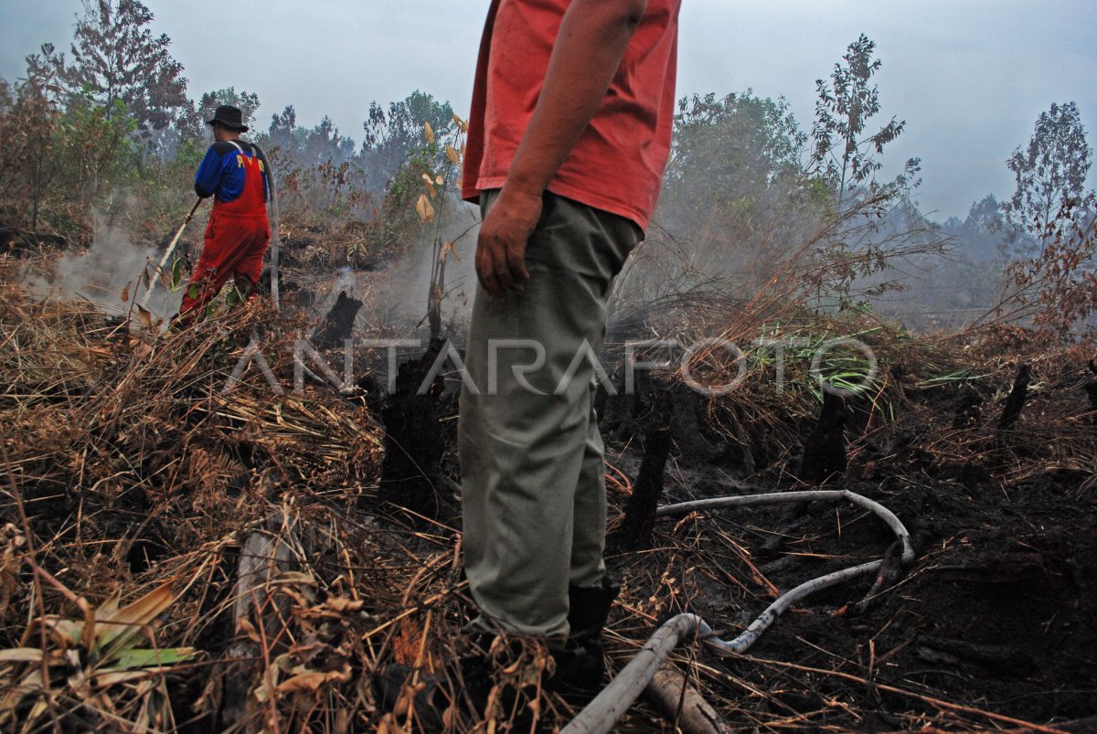 PEMADAMAN KEBAKARAN HUTAN RIAU | ANTARA Foto