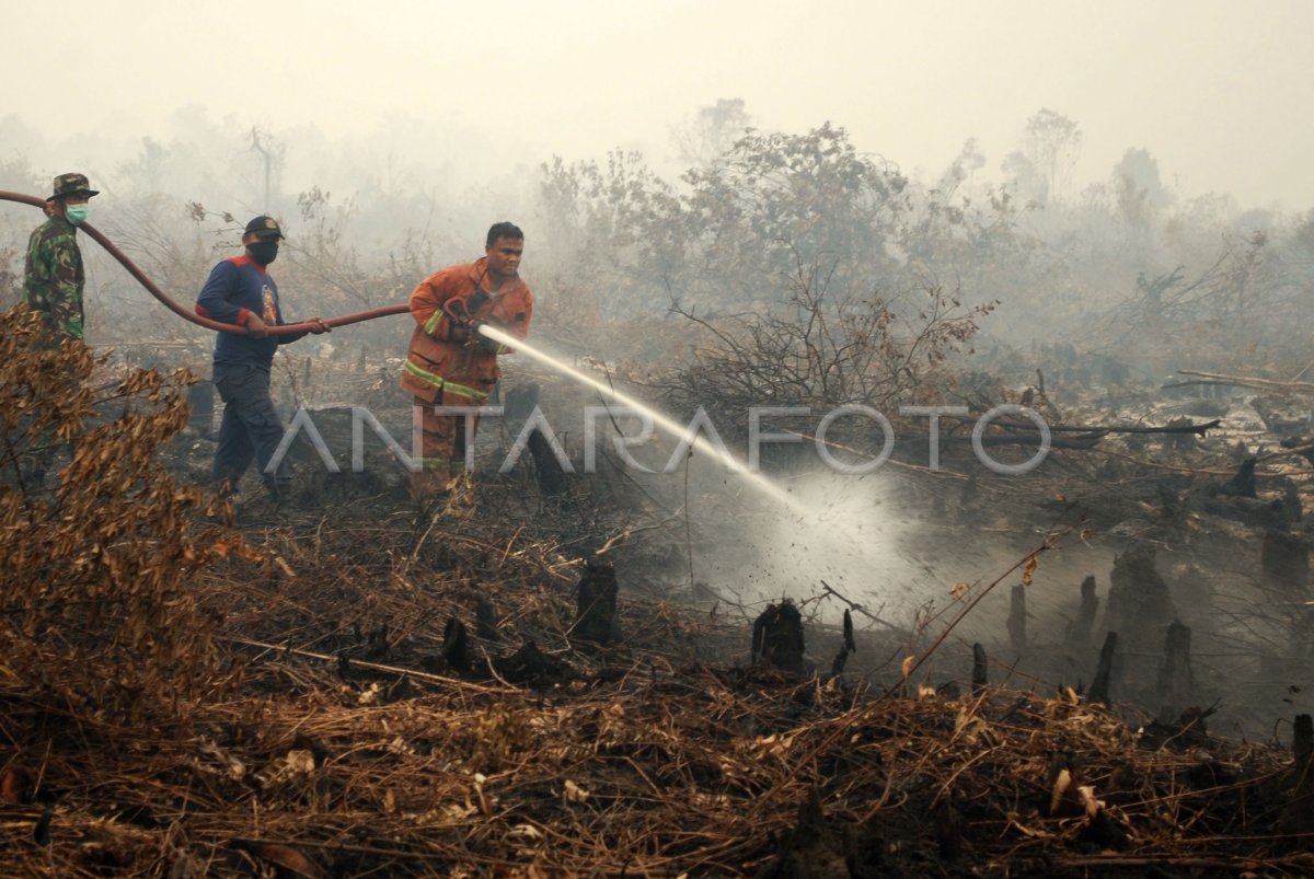 PADAMKAN KEBAKARAN LAHAN GAMBUT | ANTARA Foto