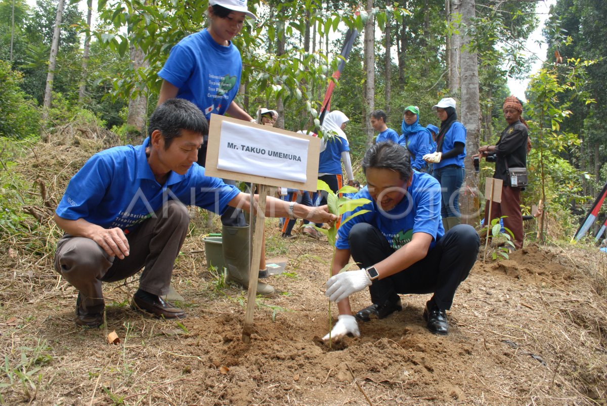 RESTORASI HUTAN GEDE PANGRANGO | ANTARA Foto