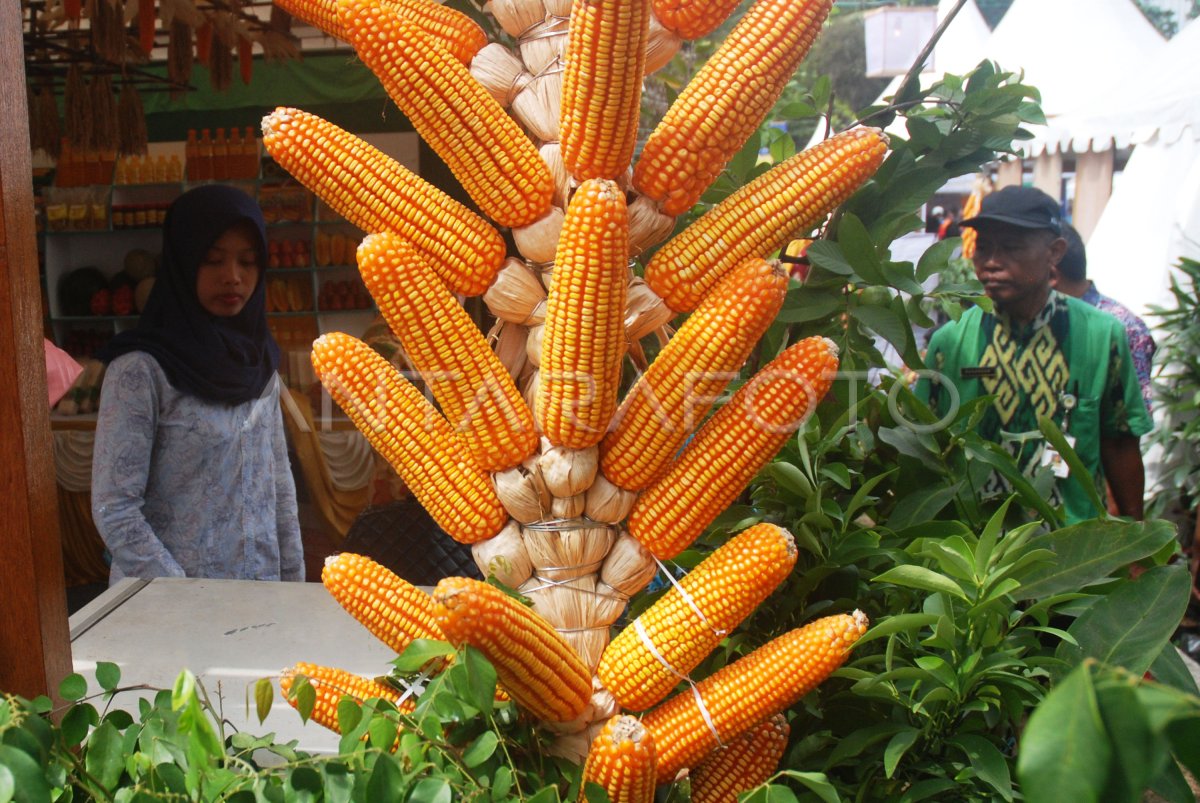 SOROPADAN AGRO EXPO 2017 | ANTARA Foto