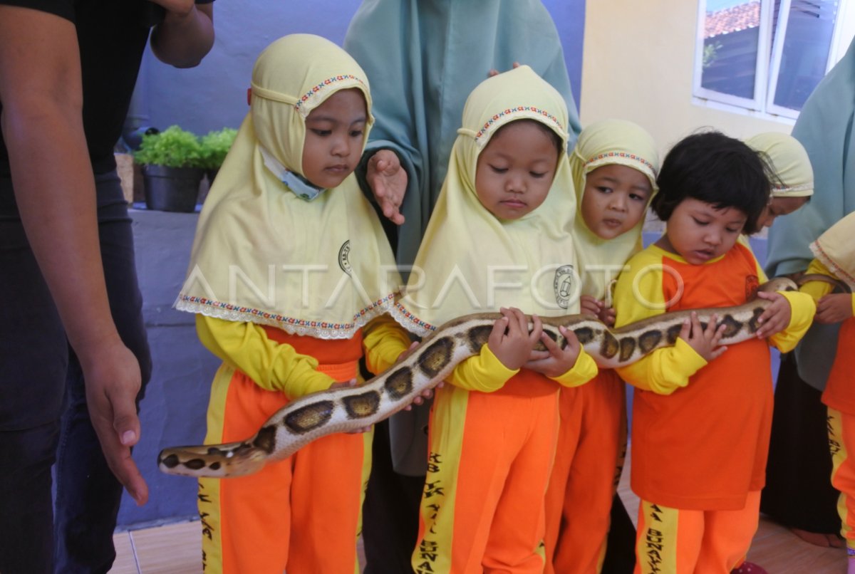 EDUKASI REPTIL DI TAMAN KANAK KANAK | ANTARA Foto