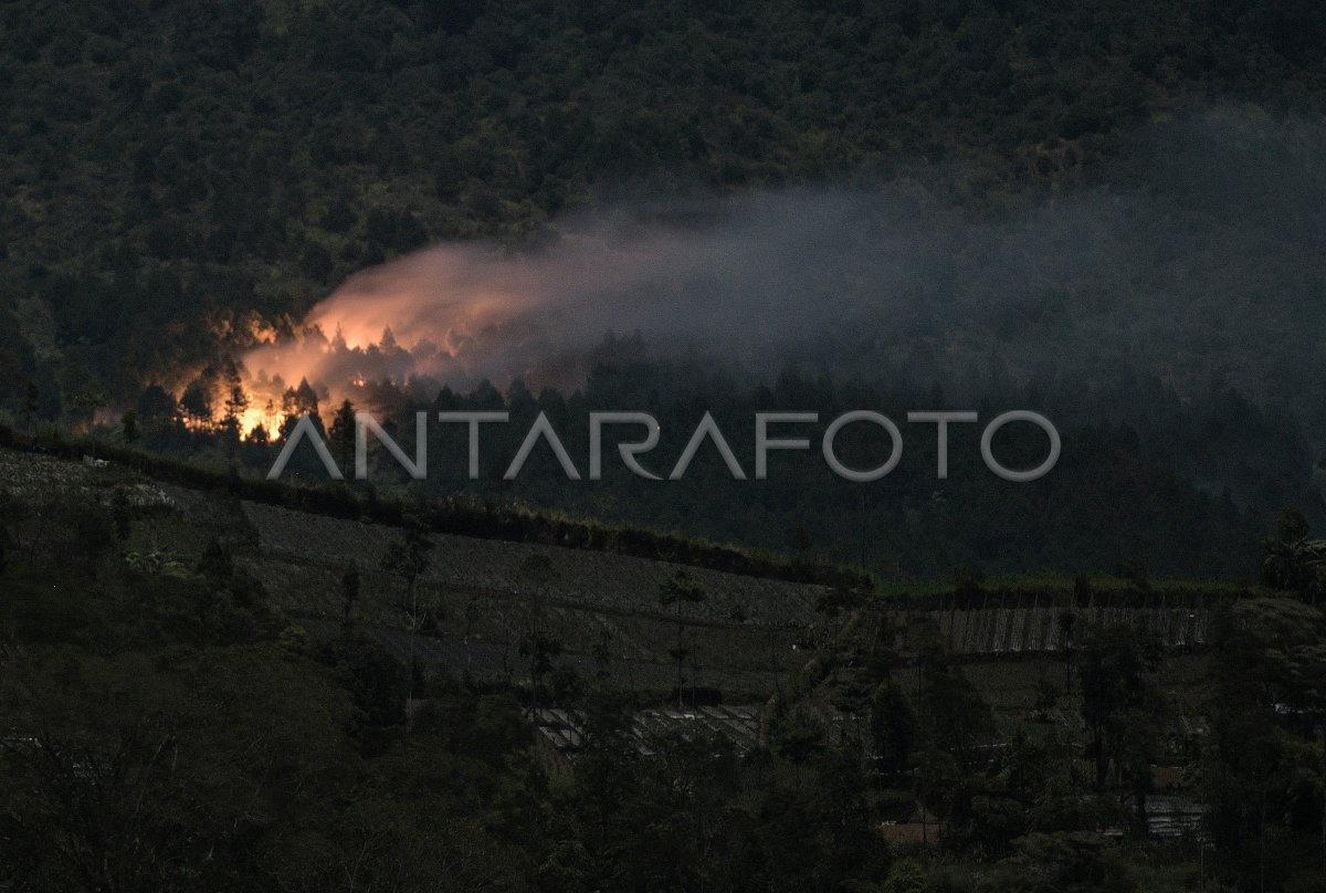 KEBAKARAN HUTAN GUNUNG SLAMET | ANTARA Foto KEBAKARAN HUTAN GUNUNG SLAMET | ANTARA Foto