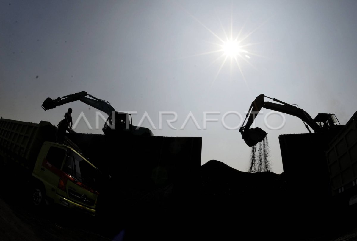 PRODUKSI BATUBARA NASIONAL | ANTARA Foto PRODUKSI BATUBARA NASIONAL | ANTARA Foto