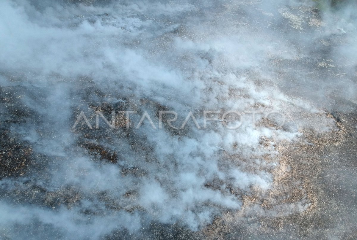 Kebakaran lahan TPA semakin meluas | ANTARA Foto Kebakaran lahan TPA semakin meluas | ANTARA Foto