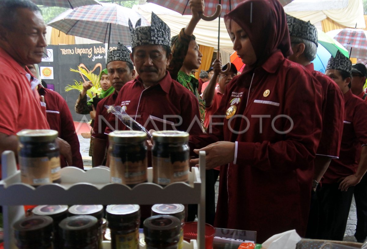 TEMU LAPANG KAKAO | ANTARA Foto TEMU LAPANG KAKAO | ANTARA Foto