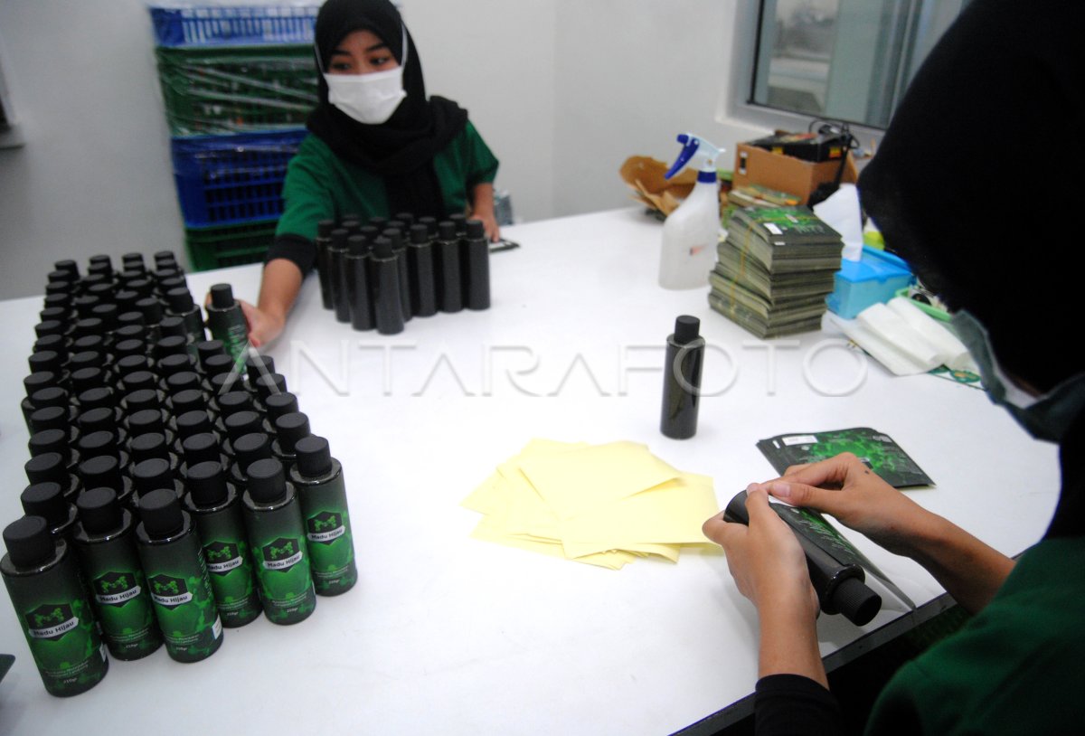 PRODUKSI MADU HERBAL DAN LEBAH TRIGONA SAAT RAMADHAN | ANTARA Foto PRODUKSI MADU HERBAL DAN LEBAH TRIGONA SAAT RAMADHAN | ANTARA Foto