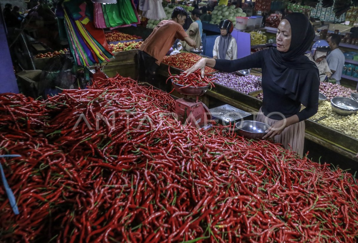 Harga cabai merah keriting naik di Ternate | ANTARA Foto