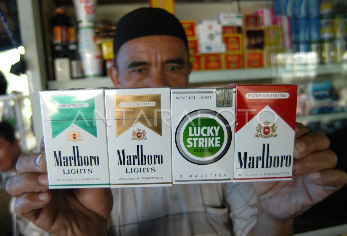 ROKOK PUTIH | ANTARA Foto