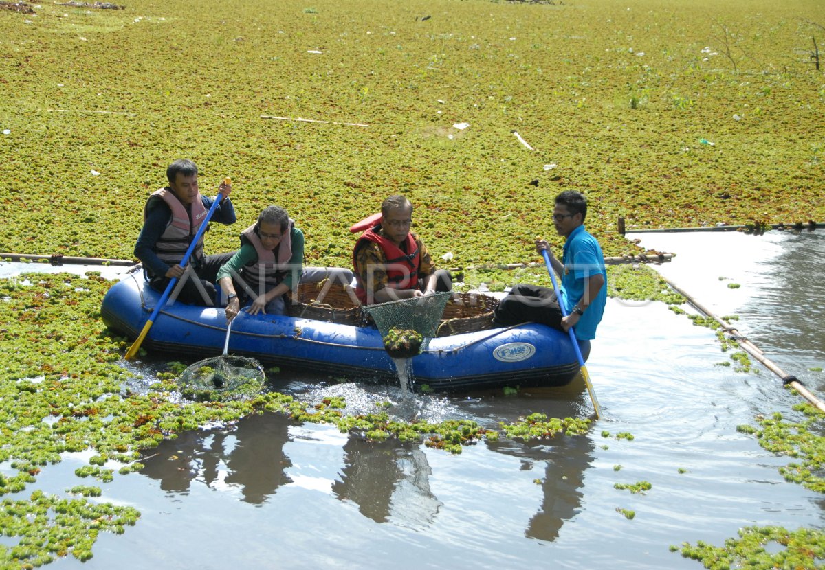 BERSIHKAN DANAU KAMPUS IPB | ANTARA Foto BERSIHKAN DANAU KAMPUS IPB | ANTARA Foto