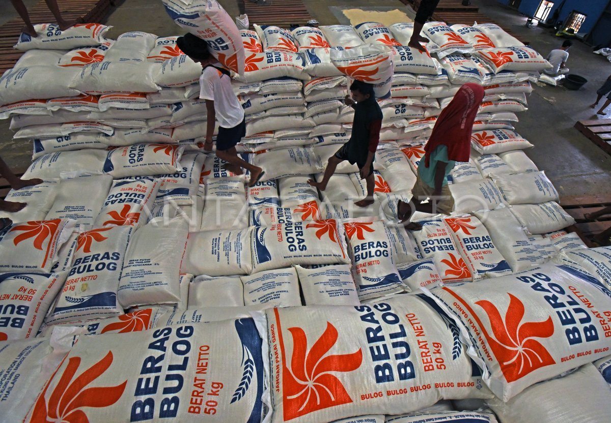Beras impor masuk ke gudang Bulog Banten | ANTARA Foto