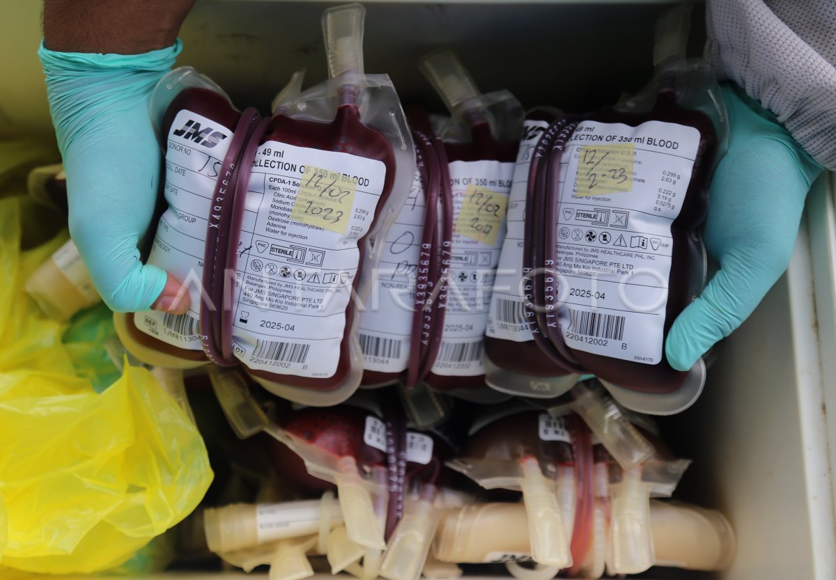 AKSI DONOR DARAH UNTUK MEMENUHI STOK DARAH DI TERNATE | ANTARA Foto