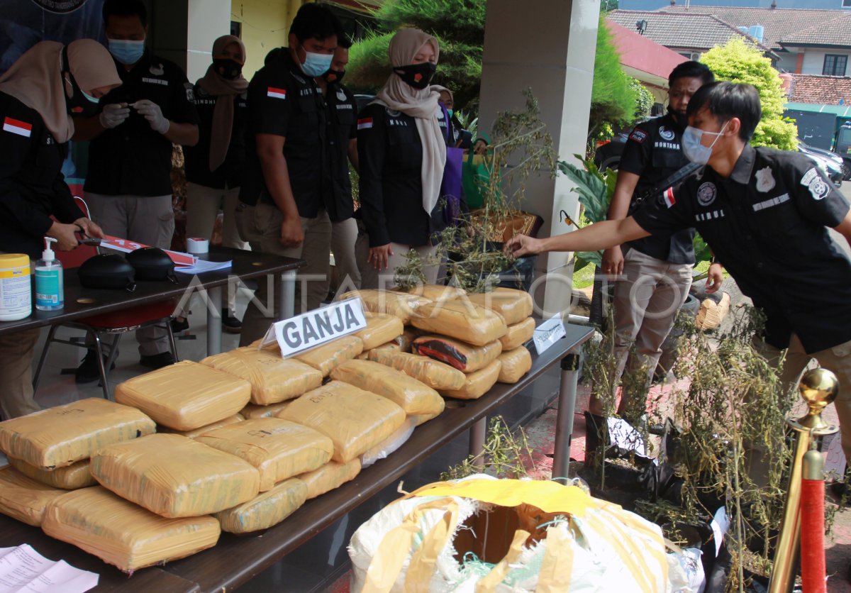 Pemusnahan Barang Bukti Narkotika Antara Foto