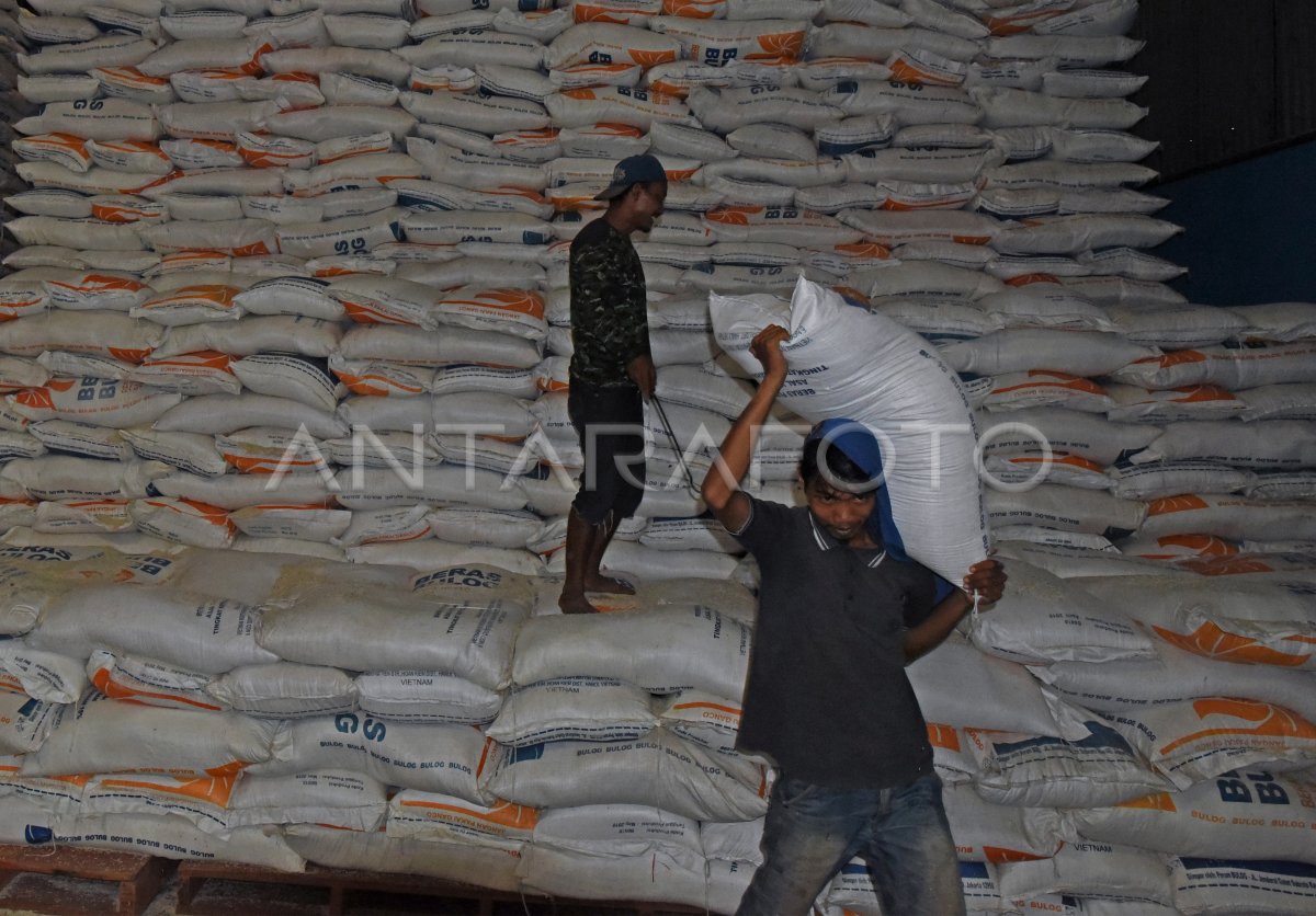 STOK BERAS BULOG AMAN HINGGA AKHIR TAHUN | ANTARA Foto