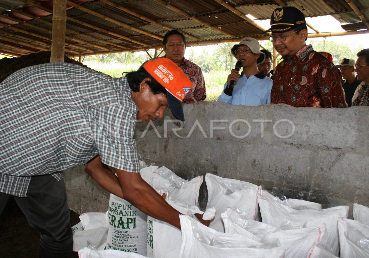 SANGGAR TANI | ANTARA Foto SANGGAR TANI | ANTARA Foto