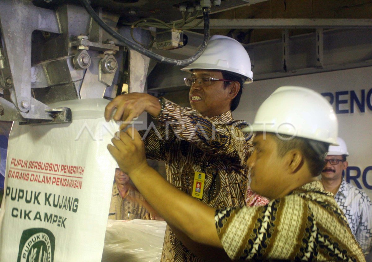 PRODUKSI PUPUK KUJANG | ANTARA Foto PRODUKSI PUPUK KUJANG | ANTARA Foto