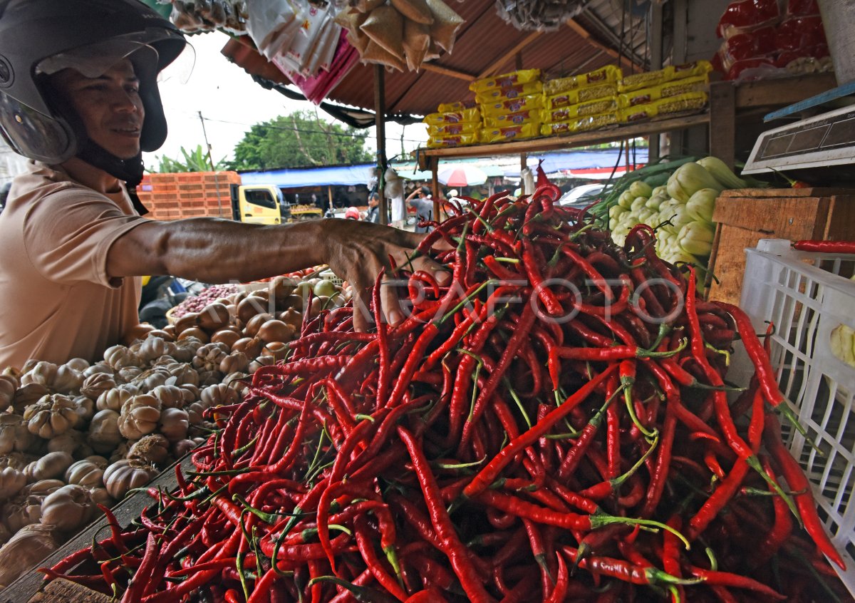HARGA CABAI MERAH NAIK | ANTARA Foto