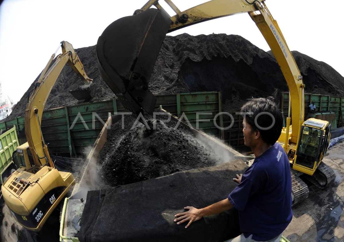 PRODUKSI BATUBARA NASIONAL | ANTARA Foto