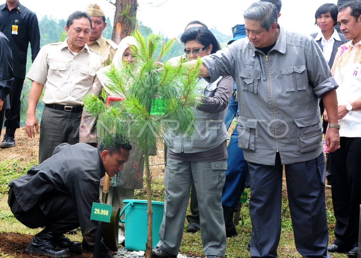 PRESIDEN TANAM POHON | ANTARA Foto