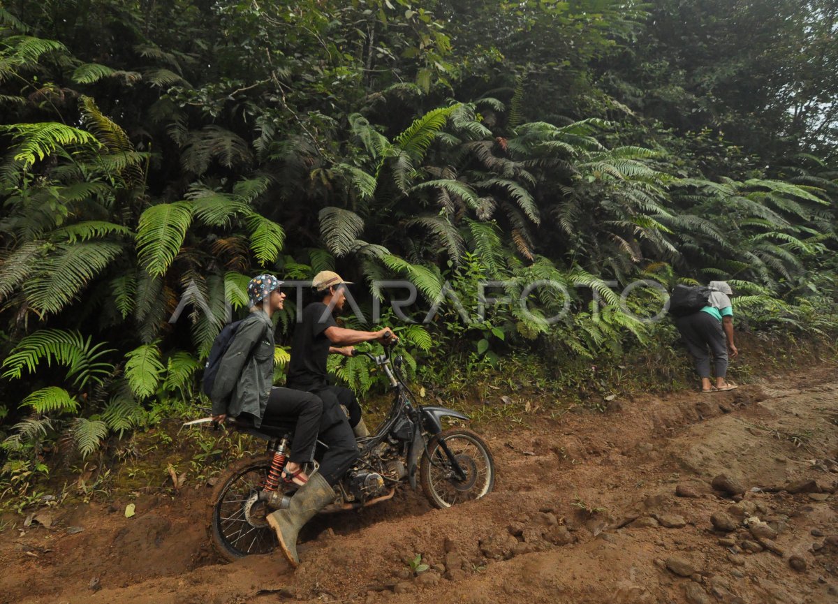 Akses jalan desa wisata di Bengkulu | ANTARA Foto Akses jalan desa wisata di Bengkulu | ANTARA Foto