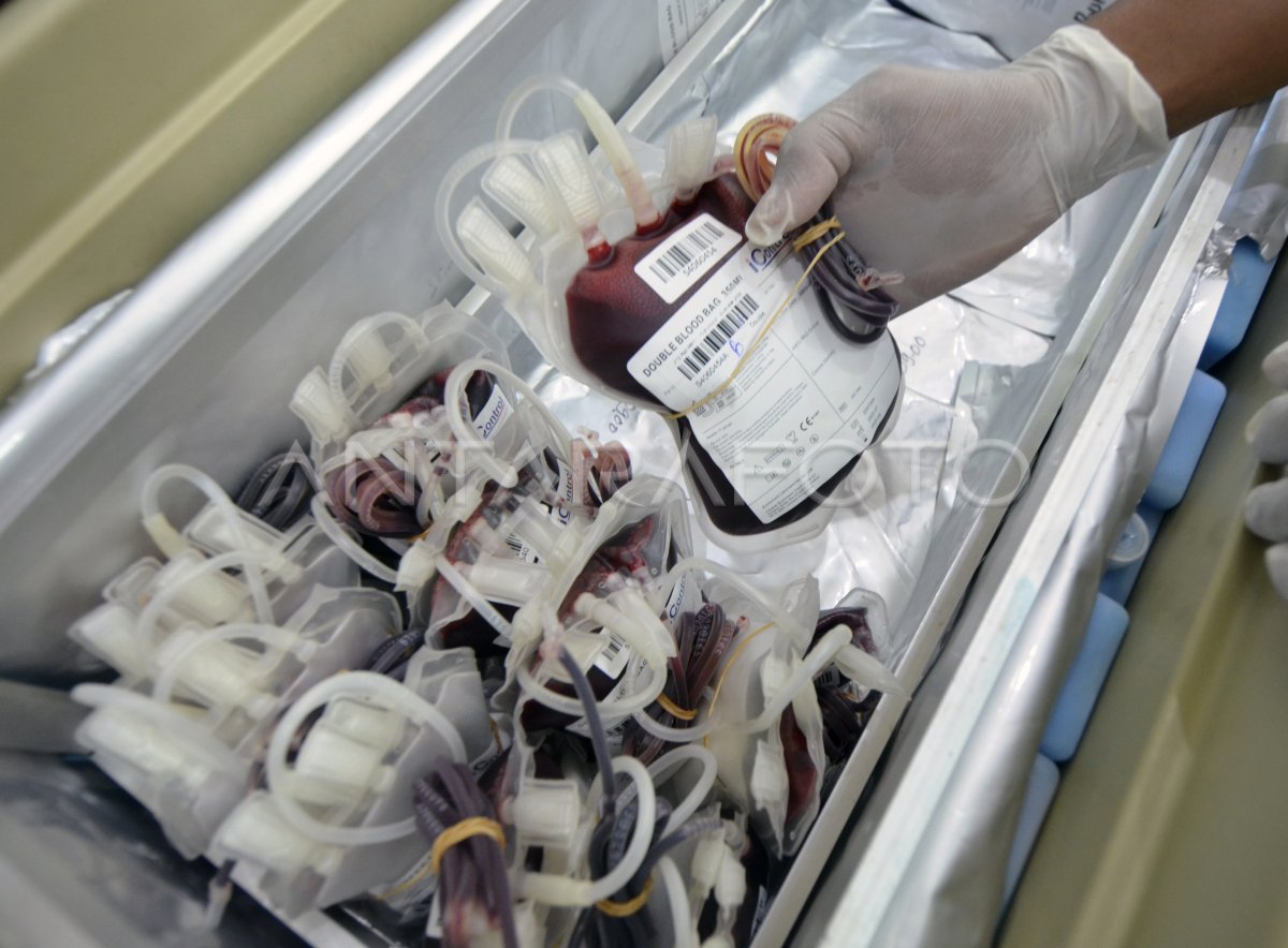 DONOR DARAH HUT KORPRI UNTUK STOK PMI | ANTARA Foto